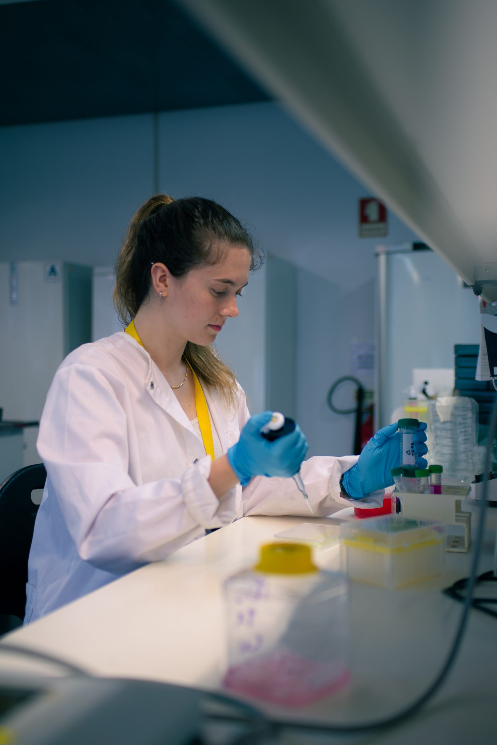 Girls on STEM - A Ray of Pixels